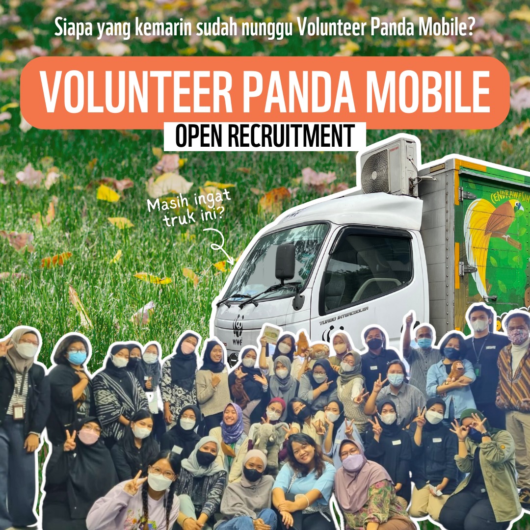 Indorelawan - Open Recruitment Volunteer Panda Mobile